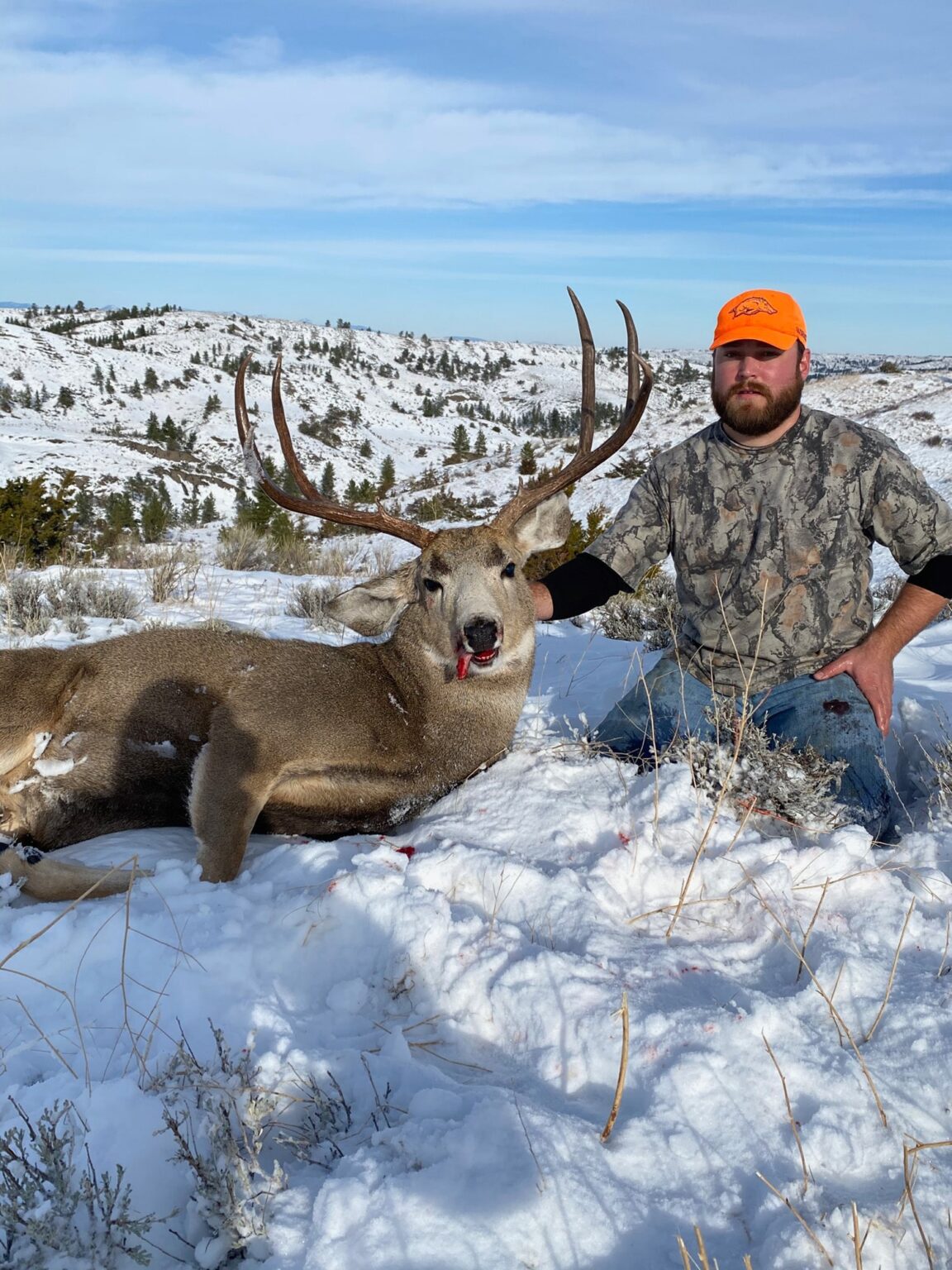 Private Land Elk Hunts Montana | Elk Hunting Outfitters | Armells Creek ...