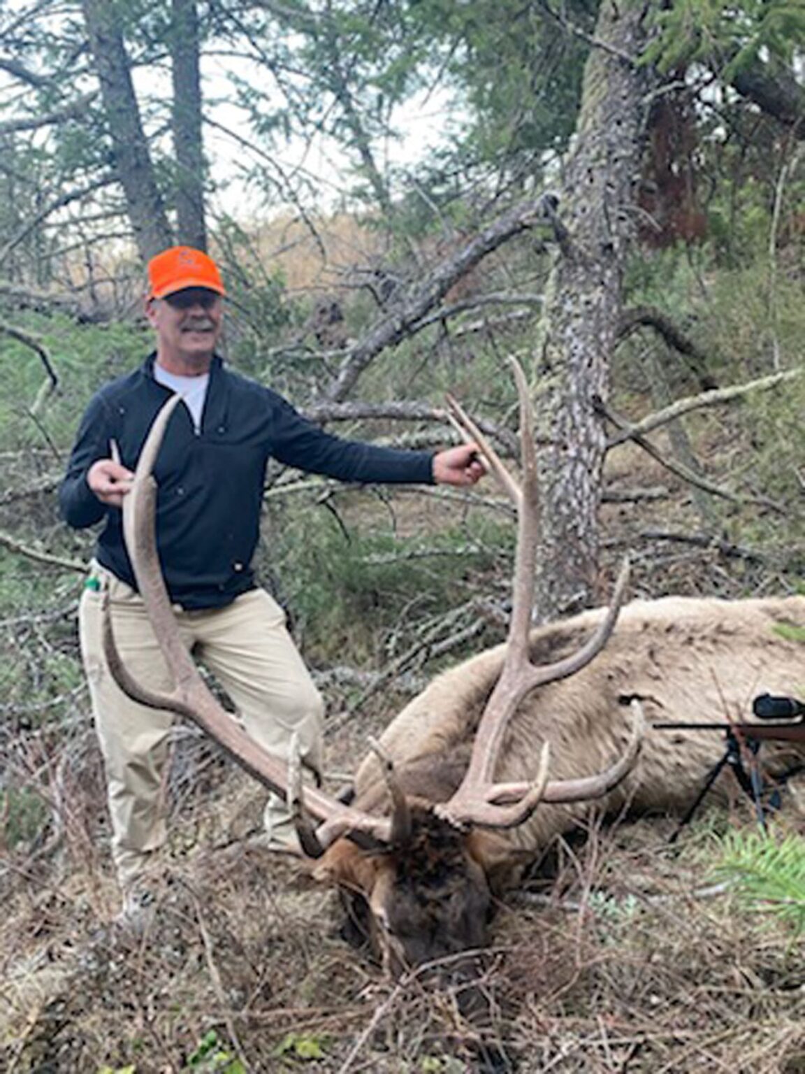 Private Land Elk Hunts Montana | Elk Hunting Outfitters | Armells Creek ...