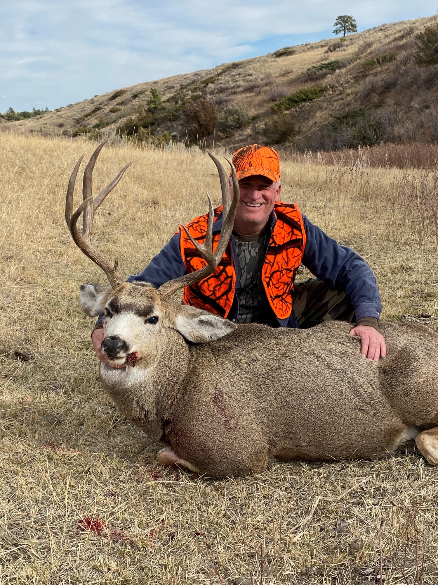 Private Land Elk Hunts Montana | Elk Hunting Outfitters | Armells Creek ...