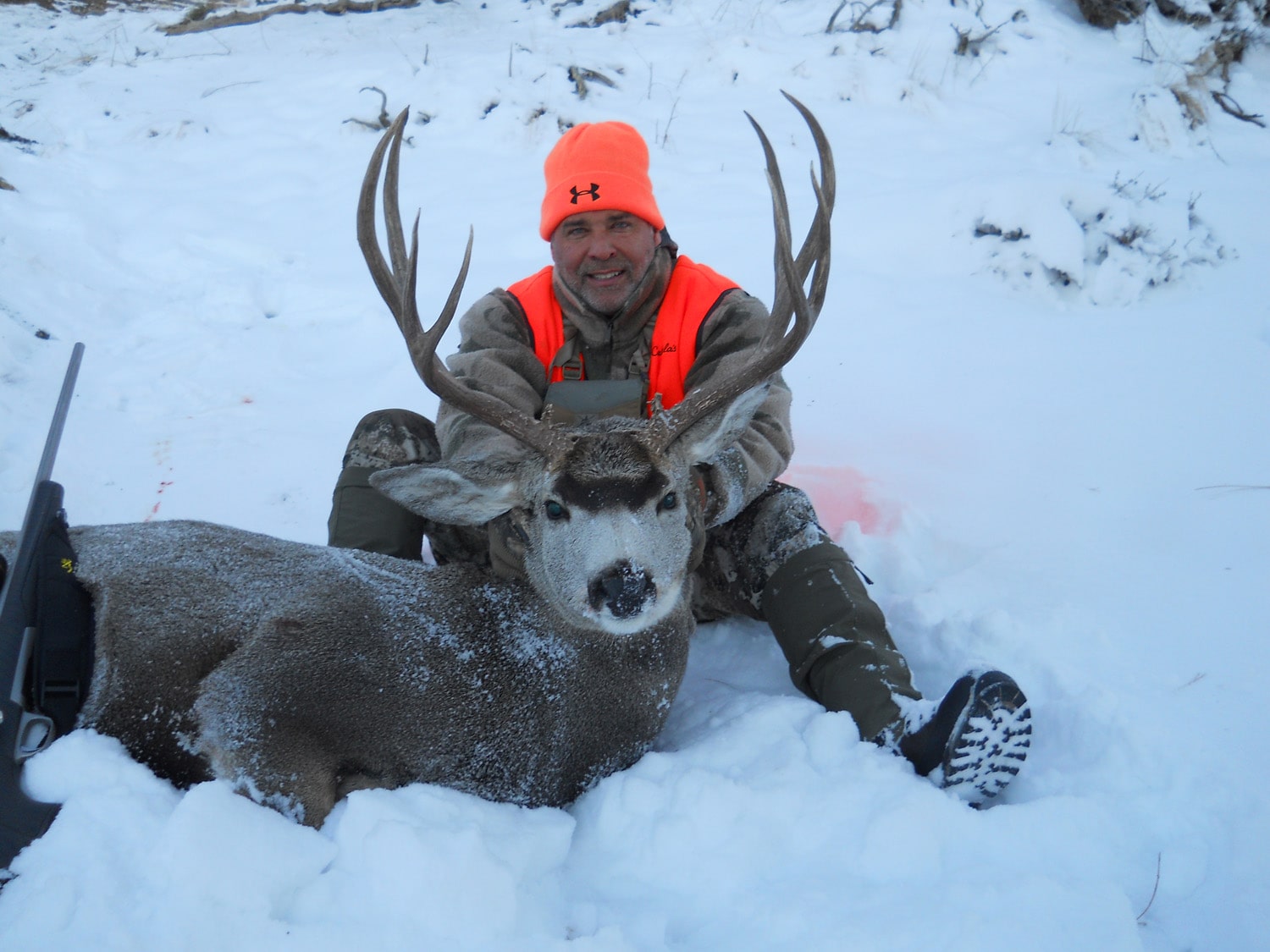 Private Land Elk Hunts Montana | Elk Hunting Outfitters | Armells Creek ...