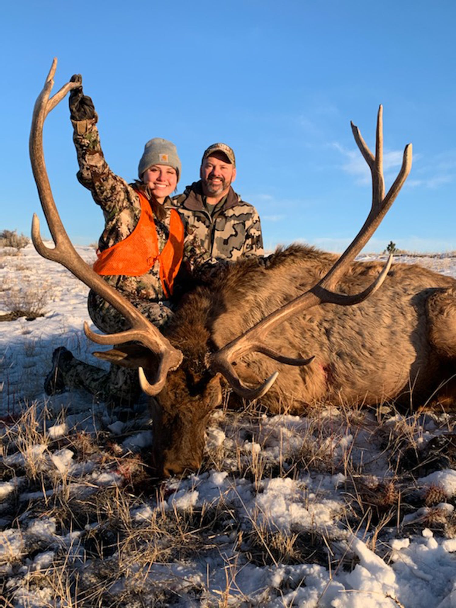 Private Land Elk Hunts Montana | Elk Hunting Outfitters | Armells Creek ...